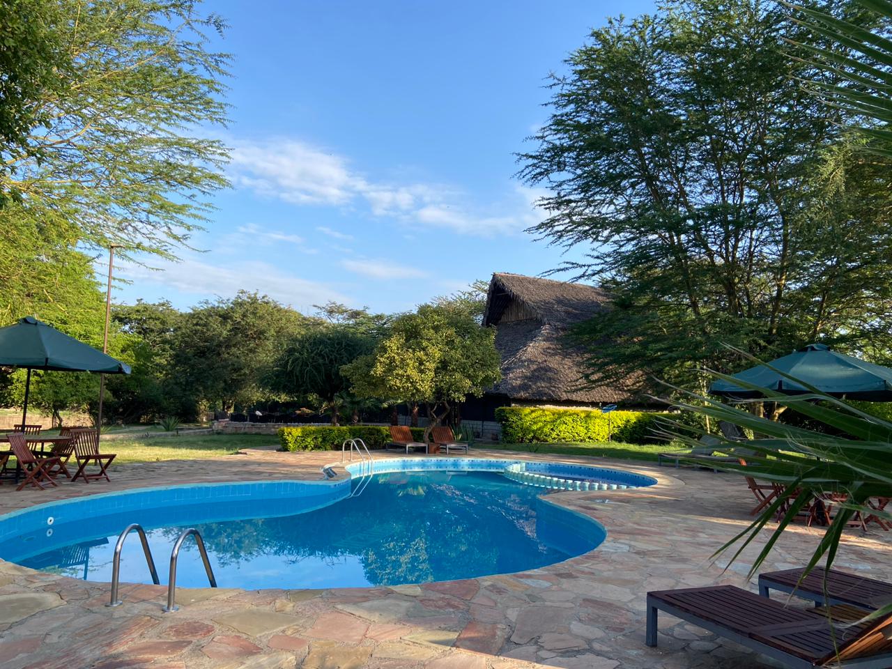 Swimming Pool - MARA SWEET ACACIA LODGE